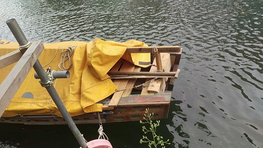 Japanese Traditional Wooden Boat Association